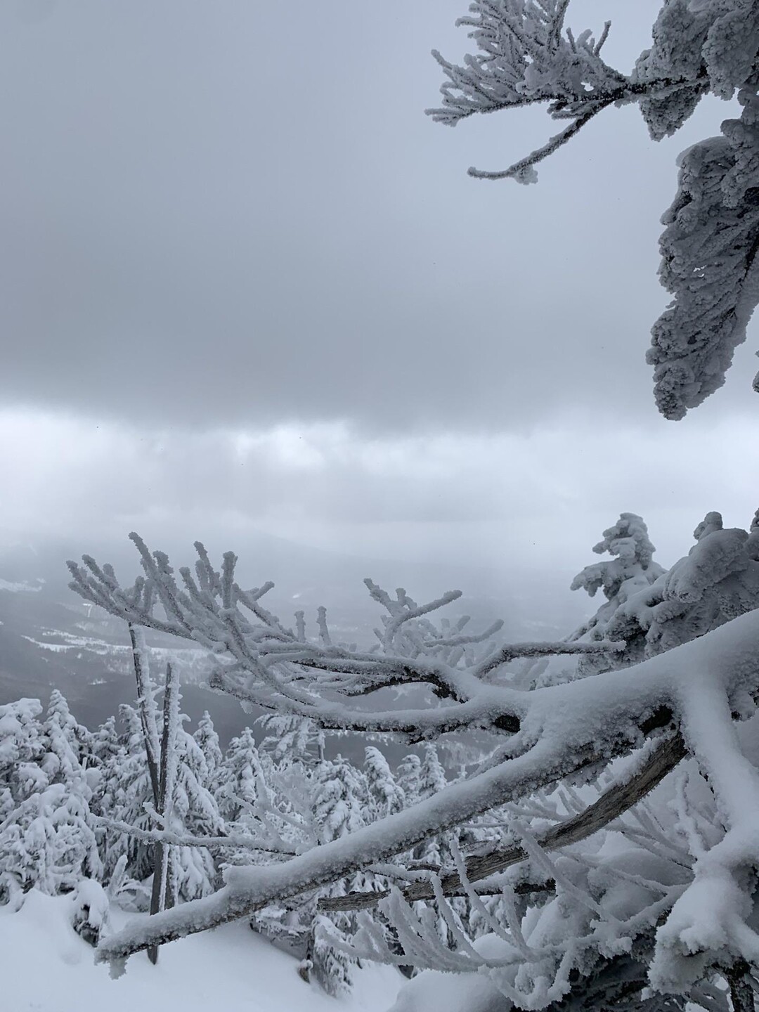 蓼科山 / chappyさんの蓼科山・横岳・縞枯山の活動データ | YAMAP / ヤマップ