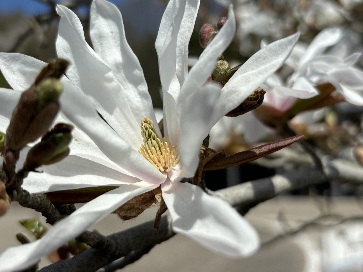 4月7日（日）セラミックパークMINOの... / 小柴胡湯さんのモーメント | YAMAP / ヤマップ