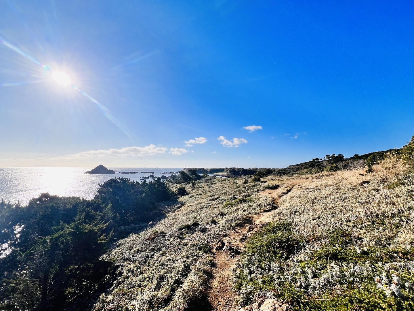 爪木崎・須崎遊歩道 / ZUNさんの下田市の活動データ | YAMAP / ヤマップ