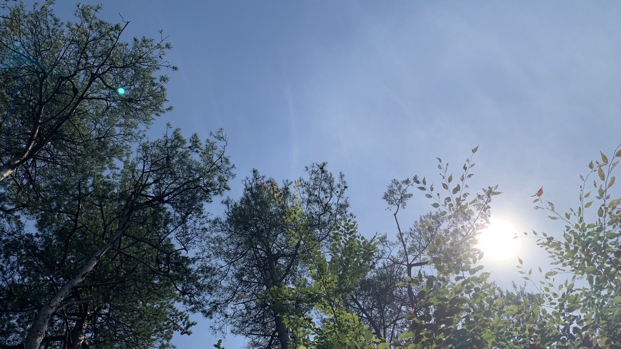 鯨山 / rskさんの鯨山の活動データ | YAMAP / ヤマップ