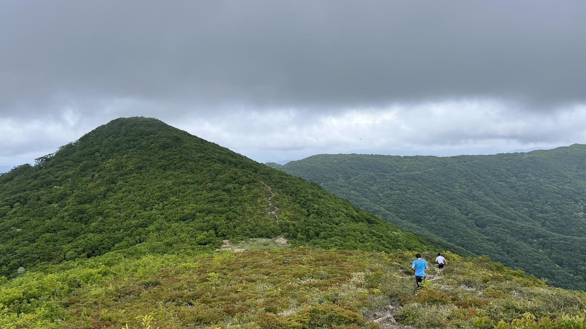 30th比婆山国際スカイラン / ujinaさんの比婆山・立烏帽子山・吾妻山の活動日記 | YAMAP / ヤマップ