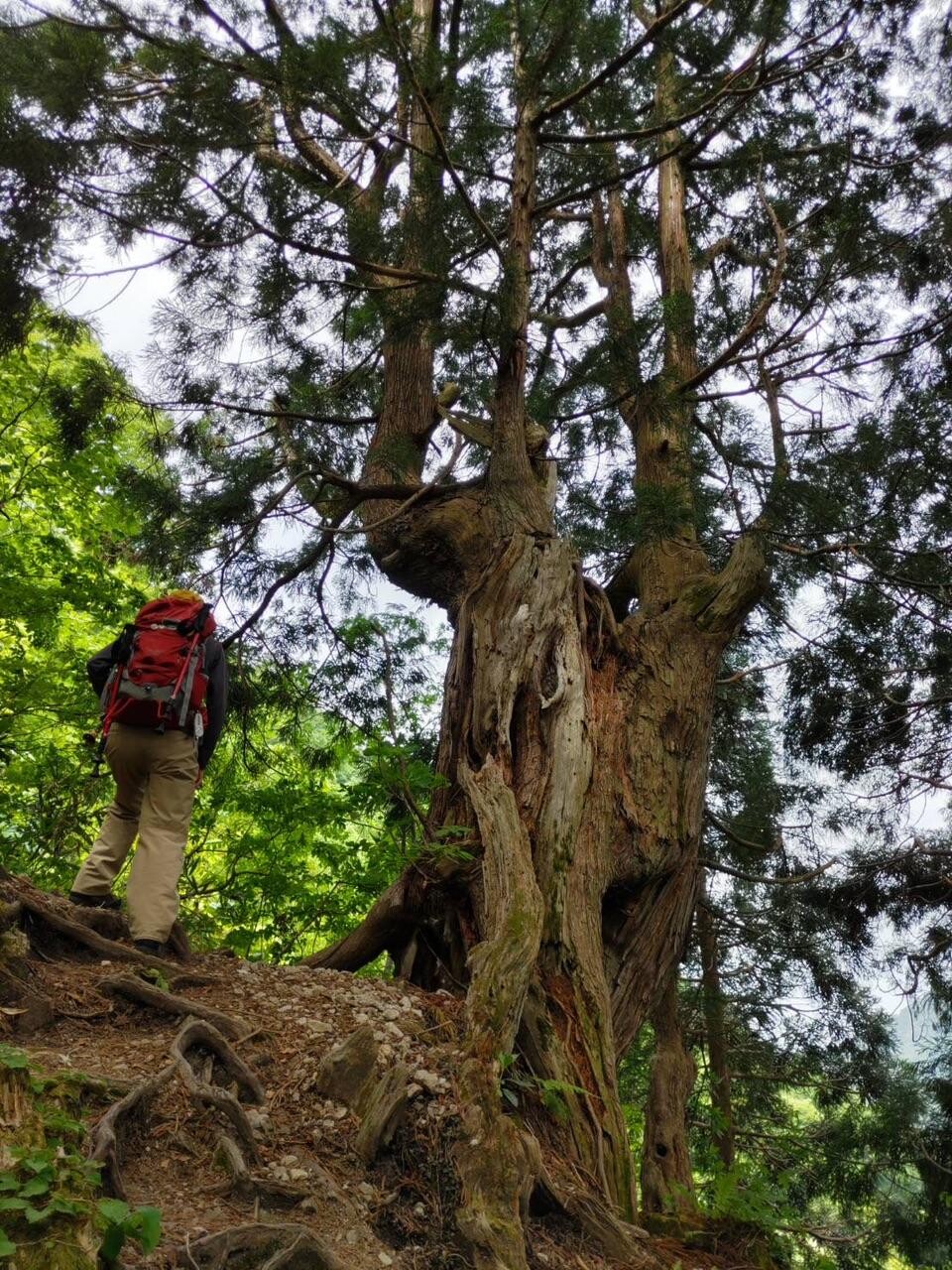 tomoのページ | YAMAP / ヤマップ