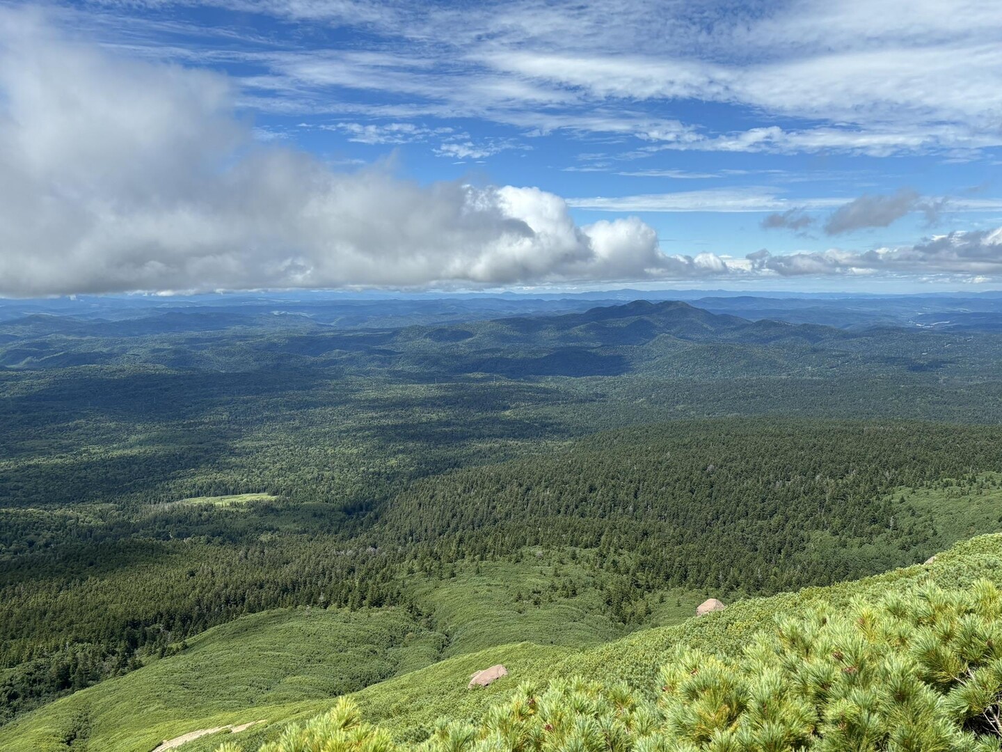 ガスガス雌阿寒岳 / Yoko.Robby902さんの雌阿寒岳・阿寒富士・白湯山の活動日記 | YAMAP / ヤマップ