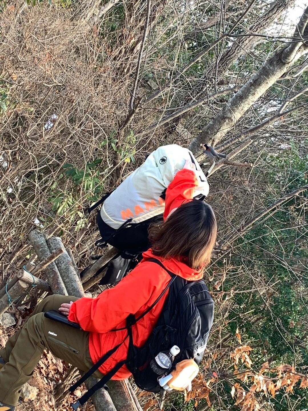 2024年初登山 大谷山⚾️弥勒山🐧🥜 / yukariさんの春日井三山・弥勒山・大谷山・道樹山の活動データ | YAMAP / ヤマップ