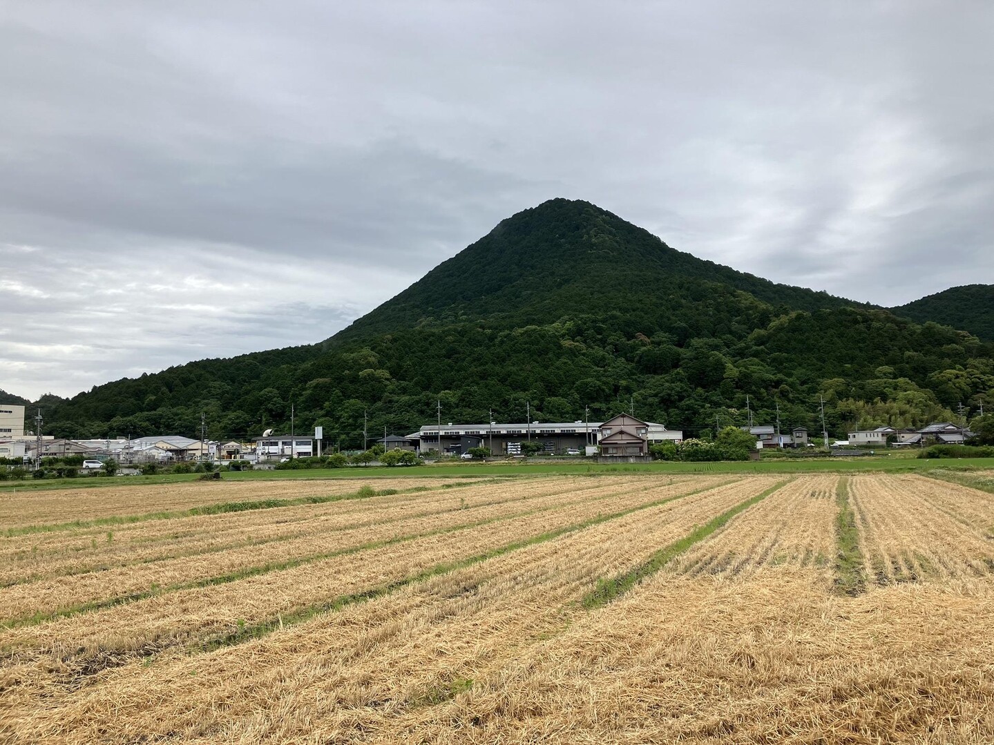 三上山越えてBBQ / ヤマノボラー・Minaphmさんの三上山・鏡山の活動データ | YAMAP / ヤマップ