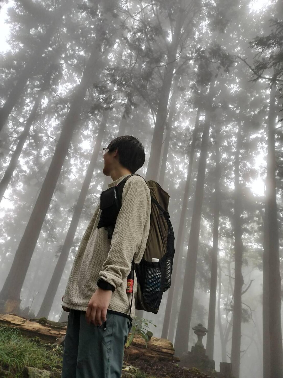 小屋ノ沢山・鶴脚山・馬頭刈山・高明山・長岳 / tomoeさんの大岳山・御岳山・御前山の活動データ | YAMAP / ヤマップ