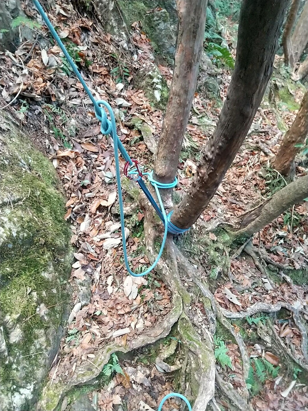 時短でソロトレ⛰️ / hottyさんの春日井三山・弥勒山・大谷山・道樹山の活動データ | YAMAP / ヤマップ