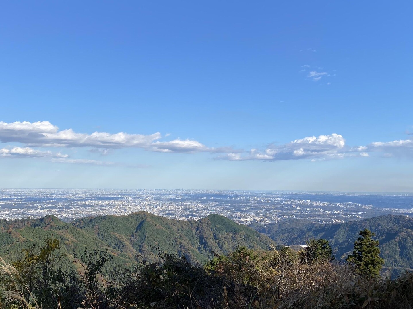 久しぶりの陣馬山-景信山コース / みみもえさんの高尾山・陣馬山・景信山の活動データ | YAMAP / ヤマップ