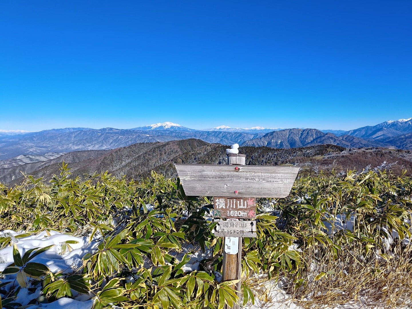 南沢山・横川山（湯舟沢山） / dk0711さんの恵那山・大判山・神坂山の活動データ | YAMAP / ヤマップ