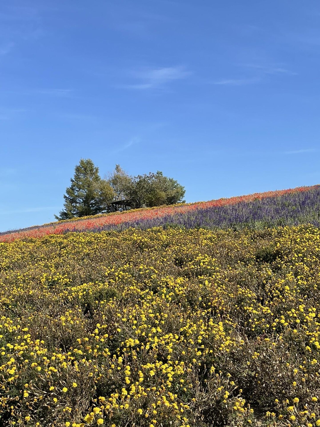 2022.10.16(日) 01:55 / ぶるさんのモーメント | YAMAP / ヤマップ