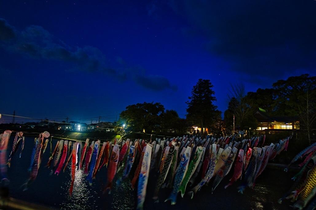 桜と星空（R6.4.1）② / としちゃんさんの佐賀市の活動データ | YAMAP / ヤマップ