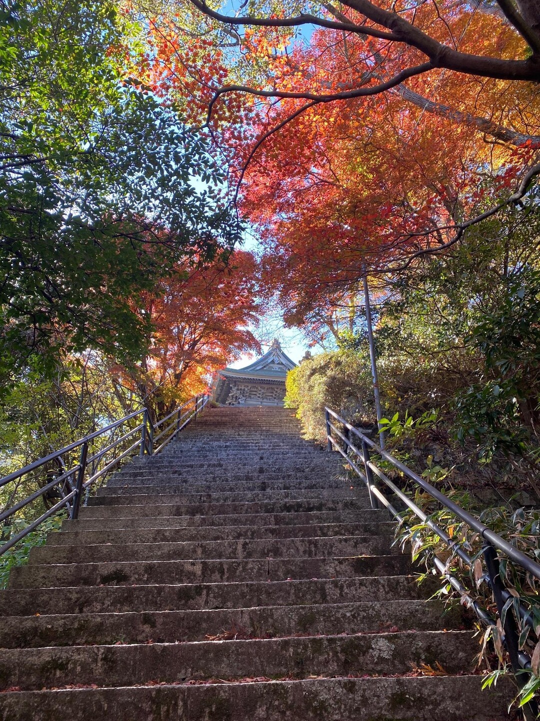 鬼ヶ島・水無山・高尾山・湯槽谷山・灰形山・落葉山 / KASABUさんの六甲山・長峰山・摩耶山の活動データ | YAMAP / ヤマップ