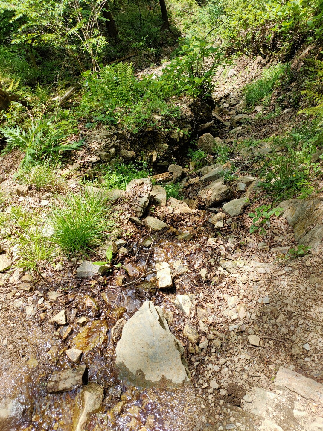 Mamincoさんの投稿したフィールドメモ | YAMAP / ヤマップ