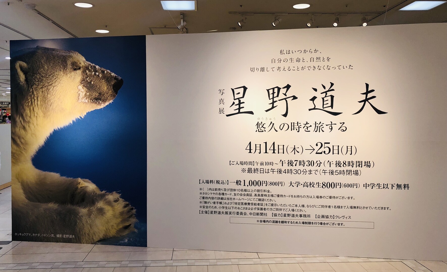 大好きな写真家 星野道夫の写真展に行って... / Cheさんのモーメント | YAMAP / ヤマップ