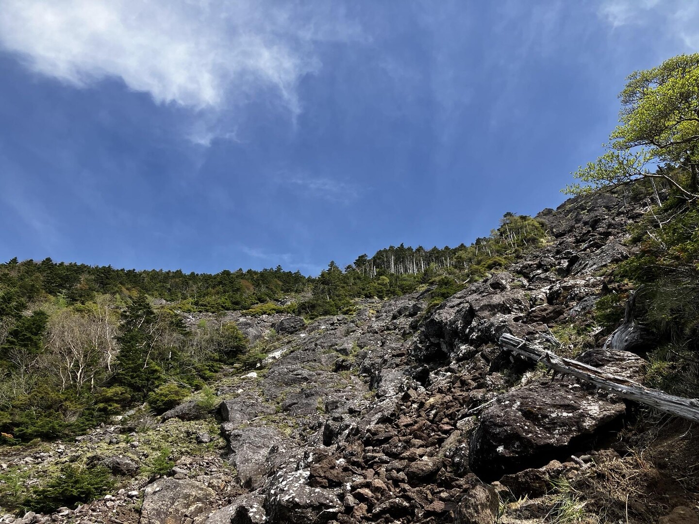 太郎山 / 727Kさんの女峰山・赤薙山・大真名子山の活動データ | YAMAP / ヤマップ
