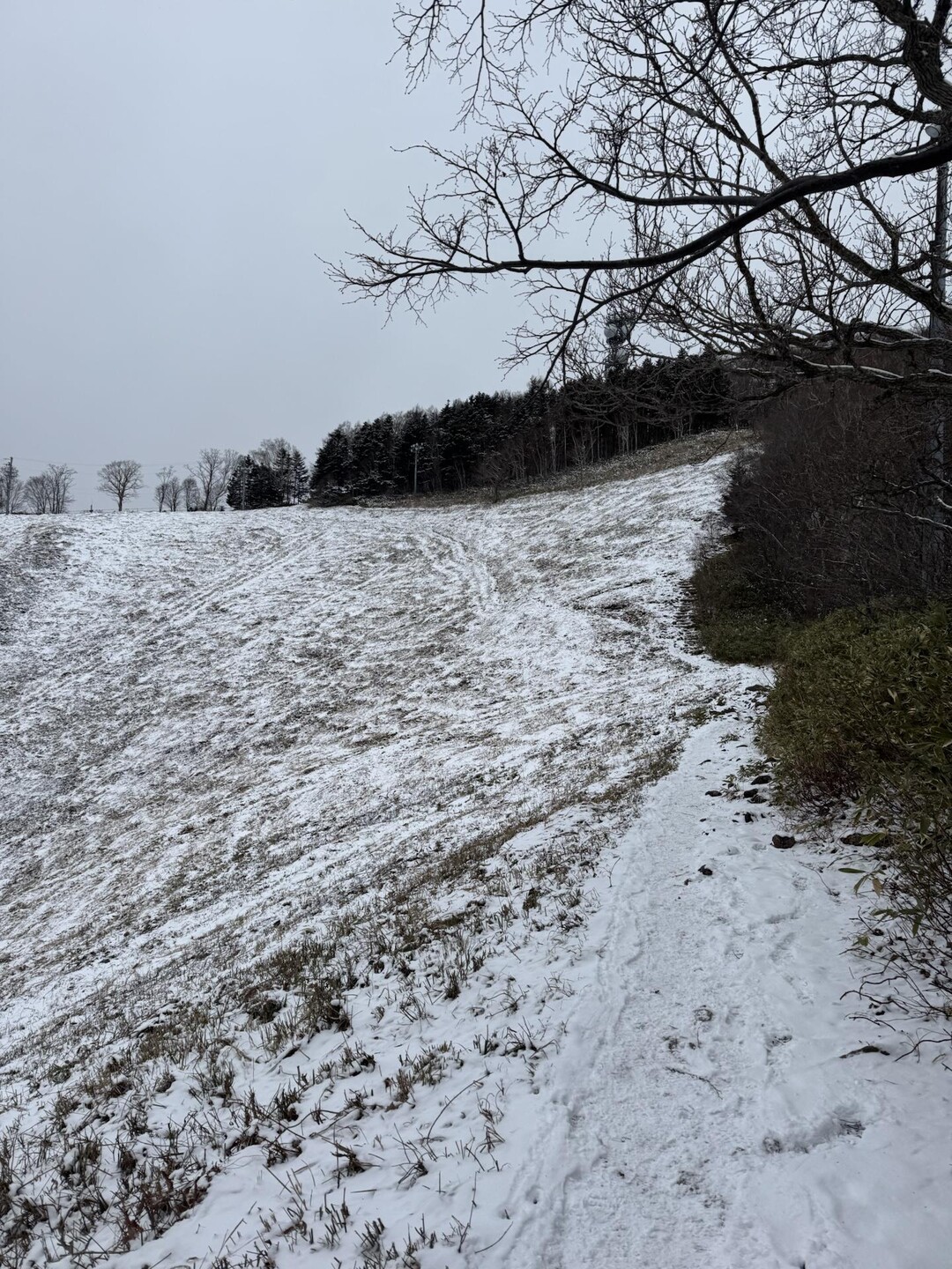 山鼻山・藻岩山 / ASAさんの藻岩山の活動データ | YAMAP / ヤマップ