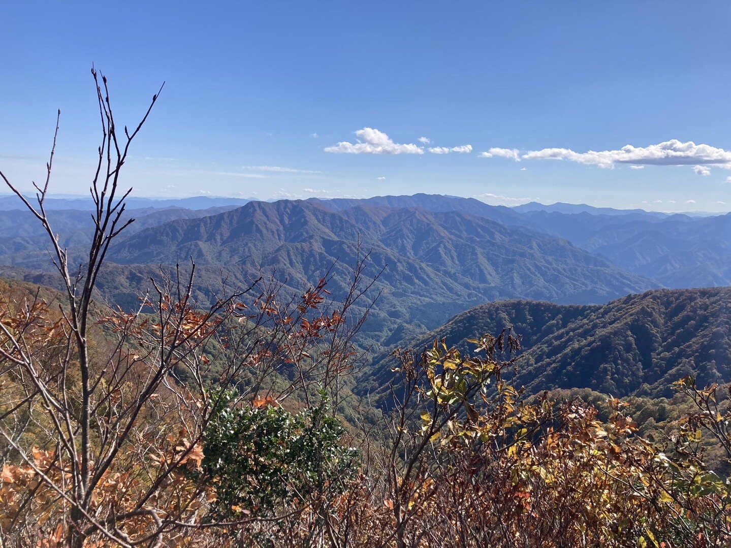 大蔵山・三五郎山・菅名岳・鳴沢峰 / komさんの菅名岳・大蔵山・鳴沢峰の活動データ | YAMAP / ヤマップ