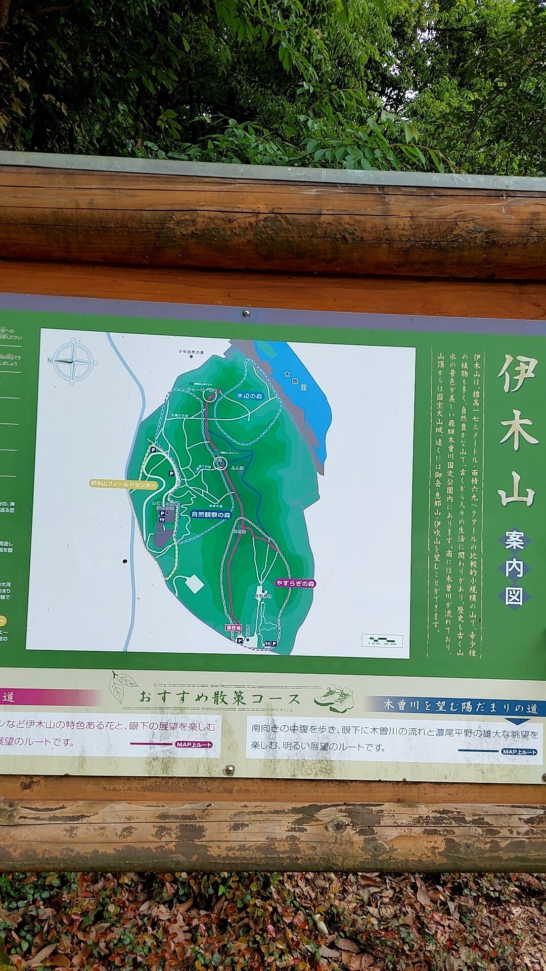 2022.05.11(水) 05:02 / teru2829さんのモーメント | YAMAP / ヤマップ