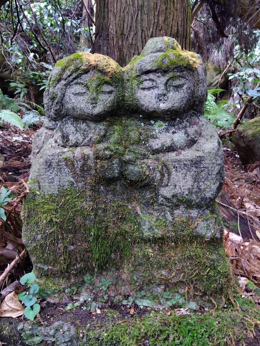 鎌倉アルプス＋α / chana🌿さんの鎌倉アルプス（大平山・天台山）の活動データ | YAMAP / ヤマップ