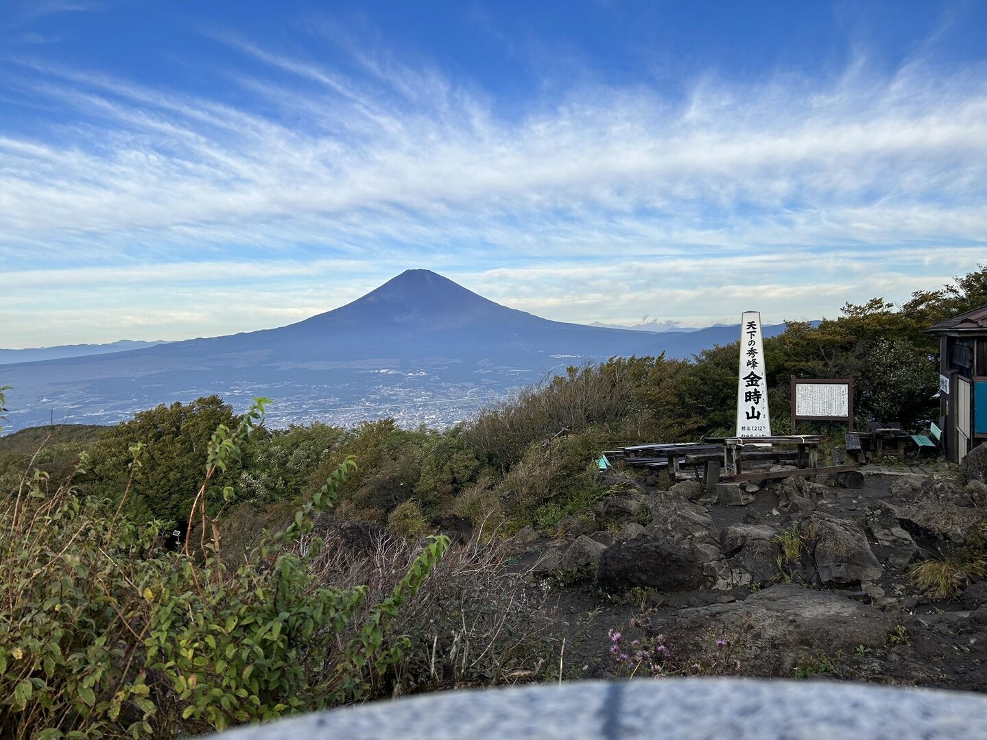 金時山・長尾山 / shiburinさんの金時山・明神ヶ岳の活動データ | YAMAP / ヤマップ