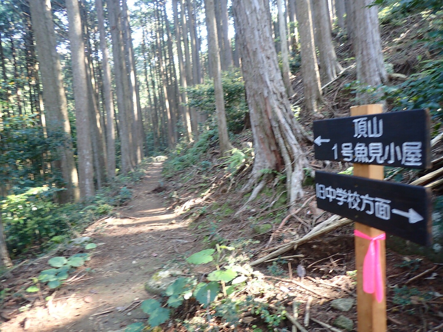 SEIJI～聖～さんの投稿したフィールドメモ | YAMAP / ヤマップ