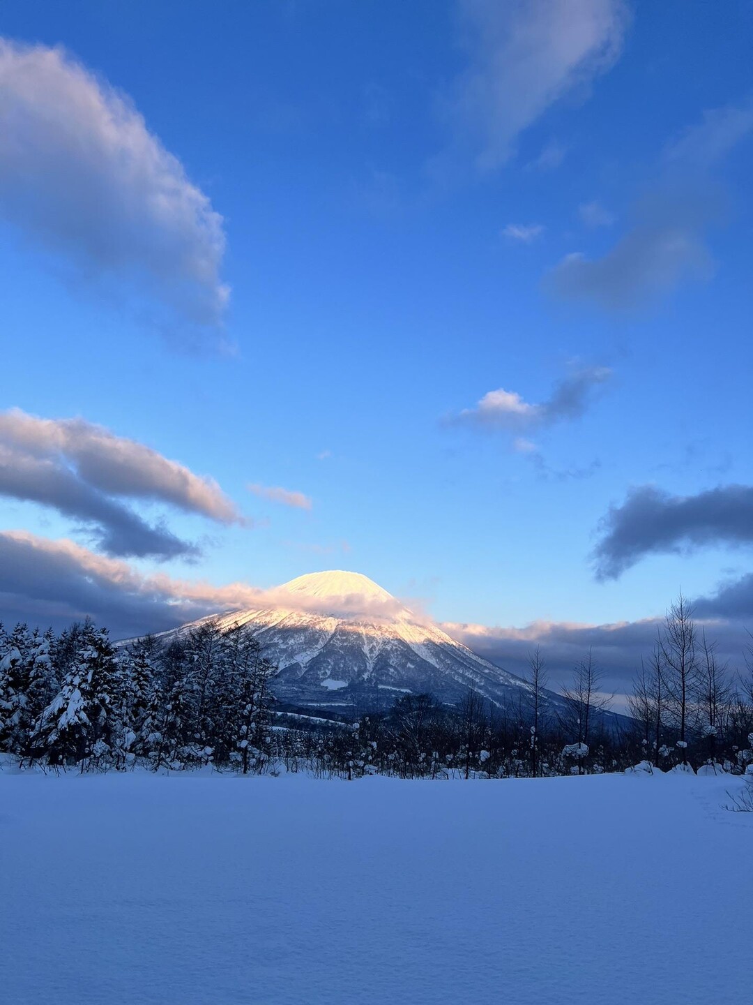 尻別岳-2023-12-29 / mamoさんの尻別岳の活動データ | YAMAP / ヤマップ