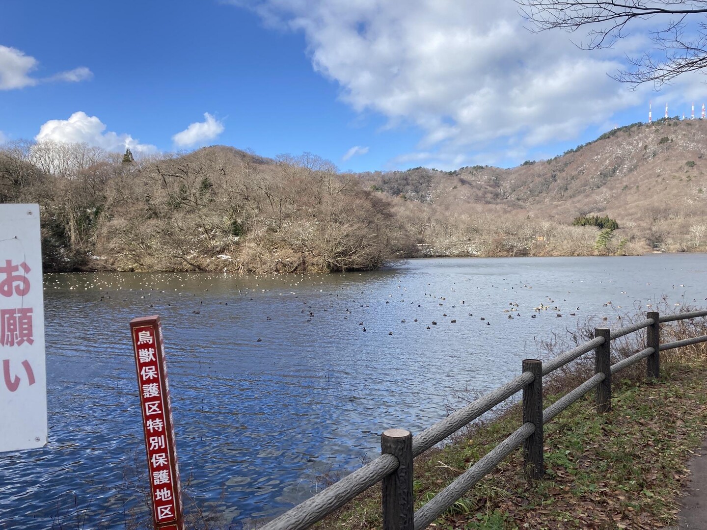 この時期にしては珍しく晴れたから☀️、今... / Tomさんのモーメント | YAMAP / ヤマップ