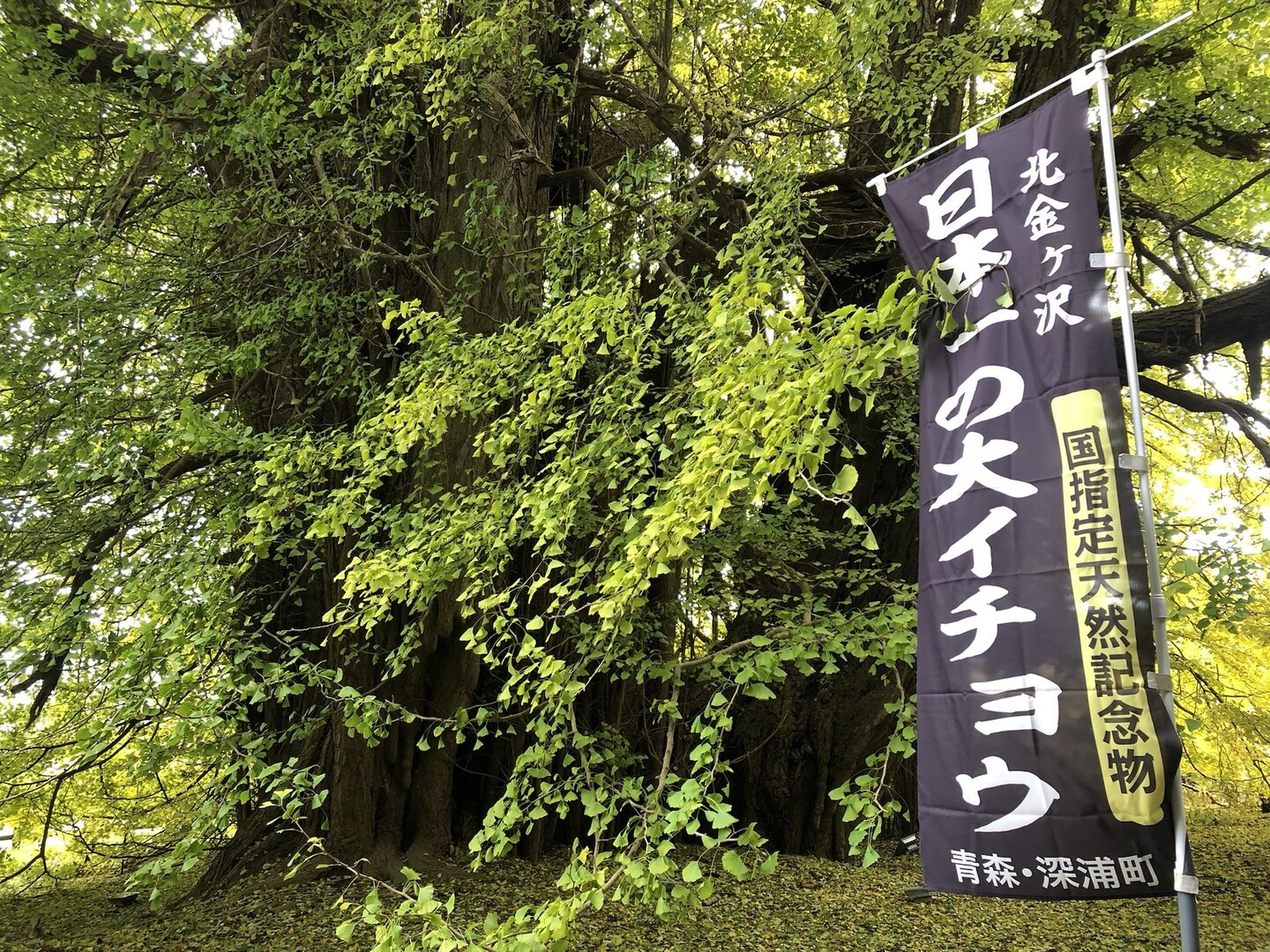 タイヤ交換してもらってる間にドライブ🚗... / 浦島太郎さんのモーメント | YAMAP / ヤマップ