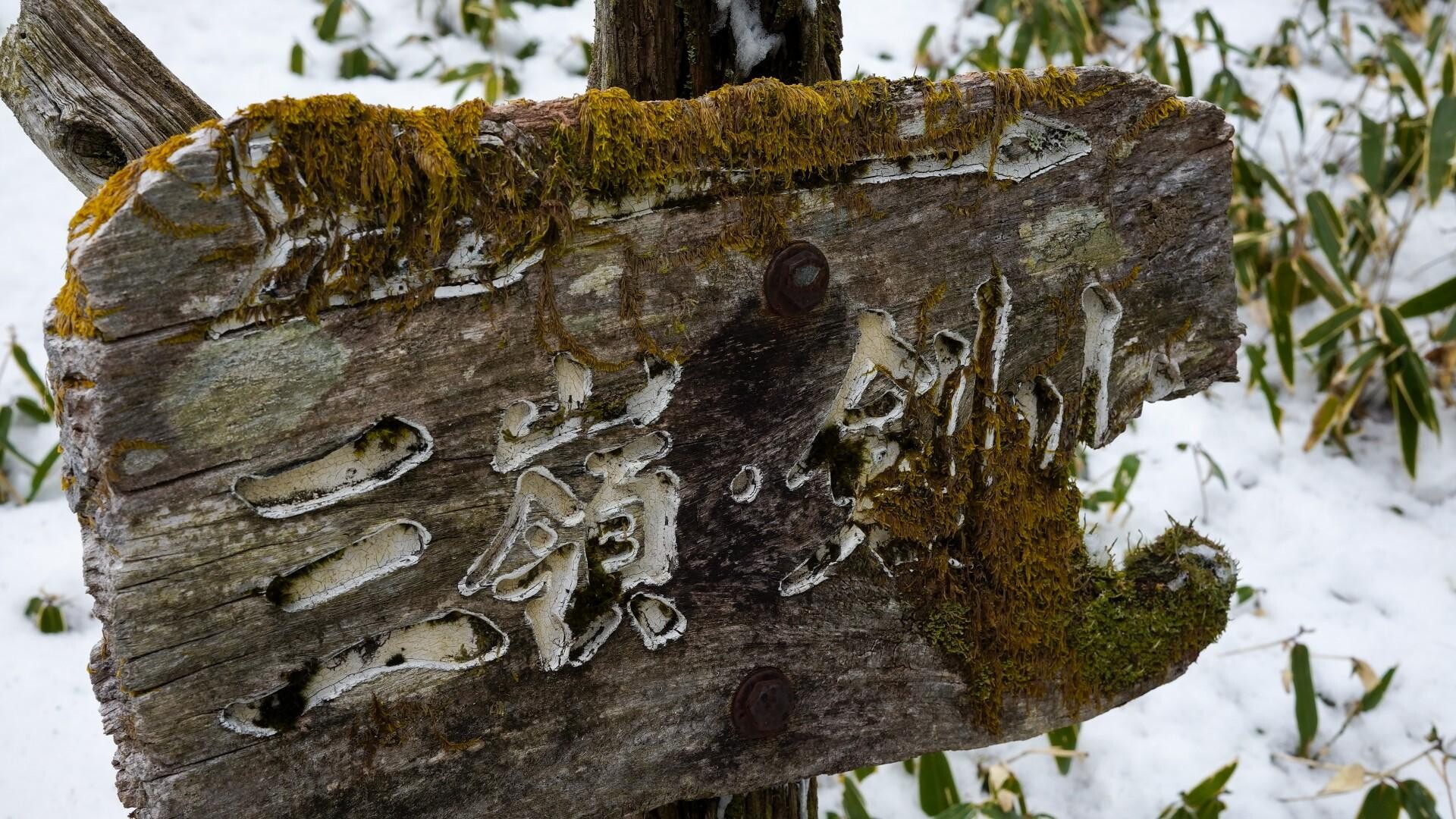 残雪白髪山 / 四玄-SIGEN fpさんの三嶺・天狗塚・石立山の活動データ | YAMAP / ヤマップ