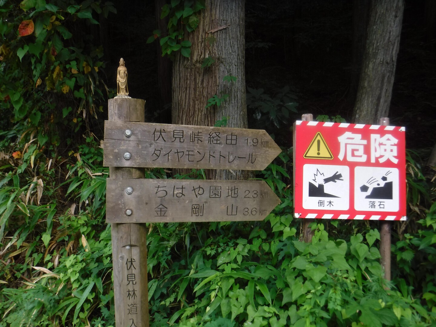 「コン・カツ」のつもりが「コン・コン」に！（笑） / とっさん0923さんの金剛山・二上山・大和葛城山の活動データ | YAMAP / ヤマップ