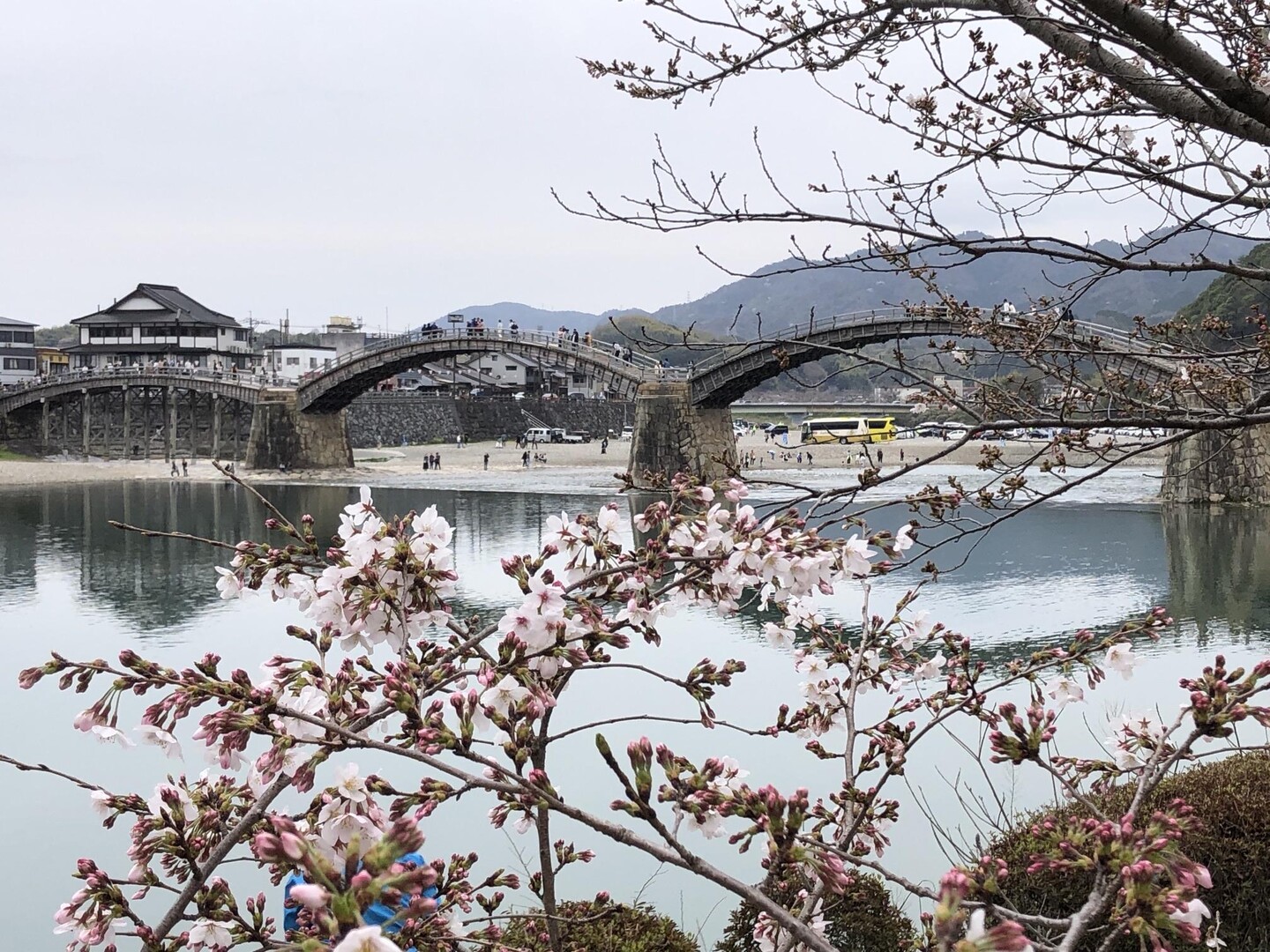 阿品弥山・柏木山(山口県岩国市) / neroliさんの弥山の活動データ | YAMAP / ヤマップ