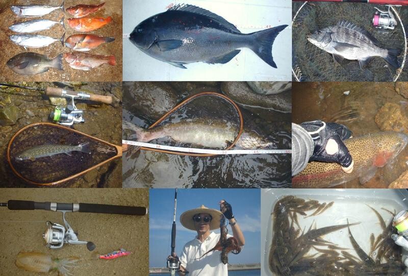 105：Shinの釣魚小全 / Shinさんのその他の活動データ | YAMAP / ヤマップ