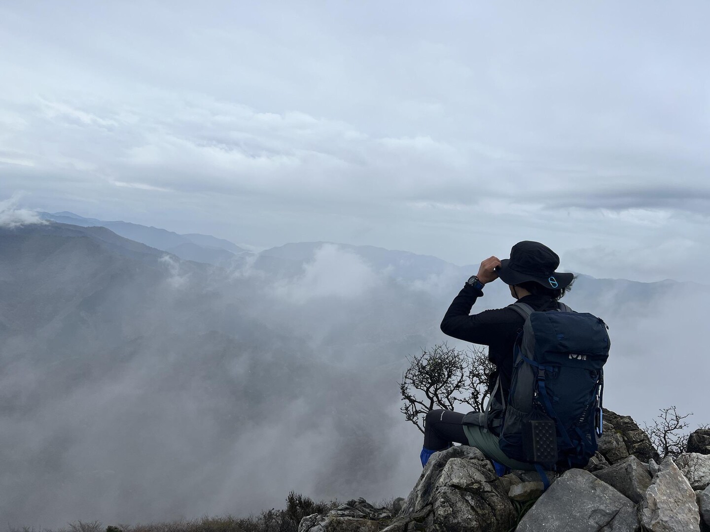 藤原岳・天狗岩 / y_sakuさんの藤原岳・御池岳の活動データ | YAMAP / ヤマップ