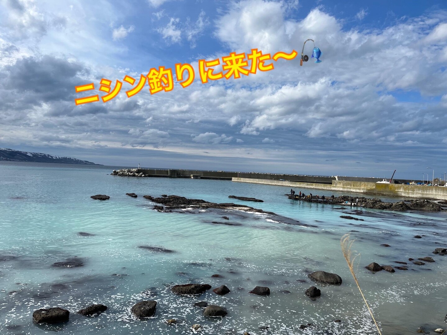 今年もこの季節がやってきました(｡ᵕᴗᵕ... / え。さんのモーメント | YAMAP / ヤマップ