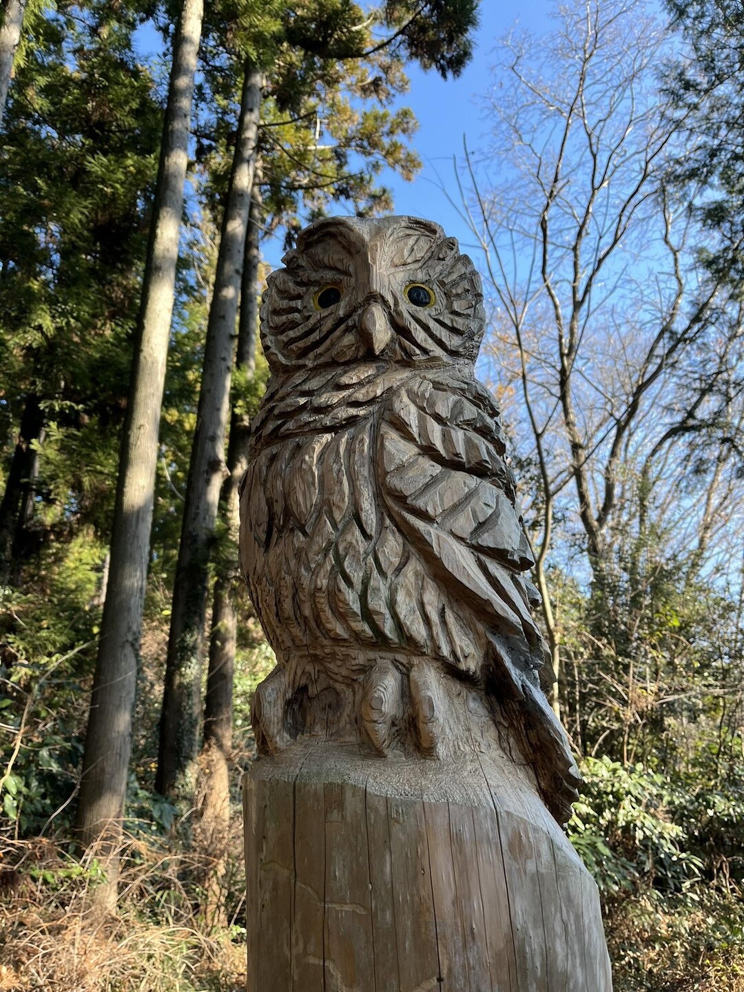 1分前のmy home のんびりセブンサミッツ / Nao0502さんの高尾山・陣馬山・景信山の活動データ | YAMAP / ヤマップ