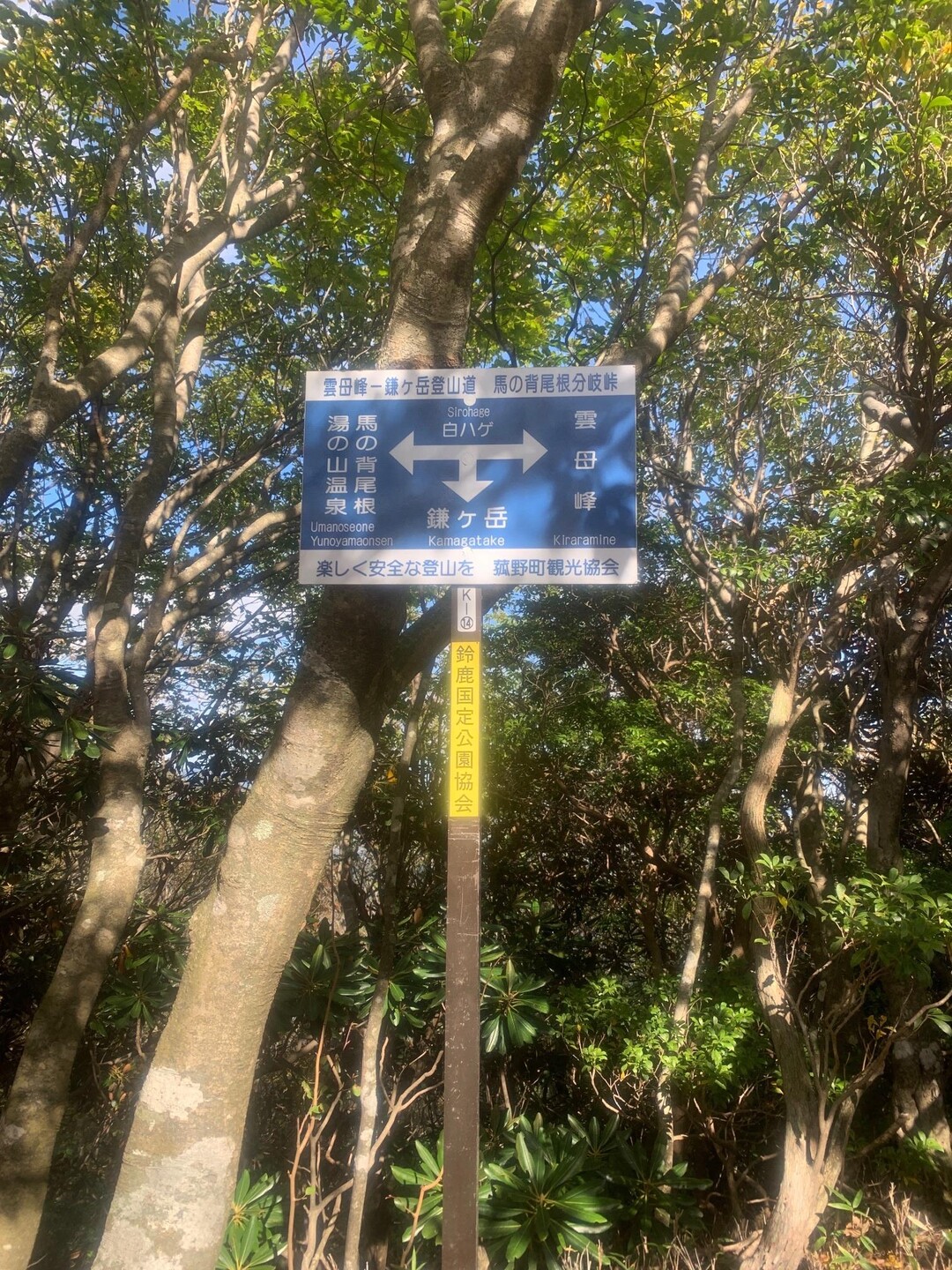 kokiさんの投稿したフィールドメモ | YAMAP / ヤマップ