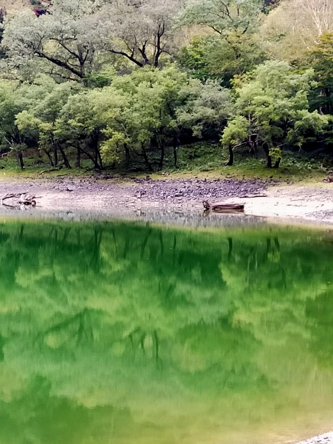 切込湖刈込湖 2023-10-01 / Berryさんの男体山の活動データ | YAMAP / ヤマップ
