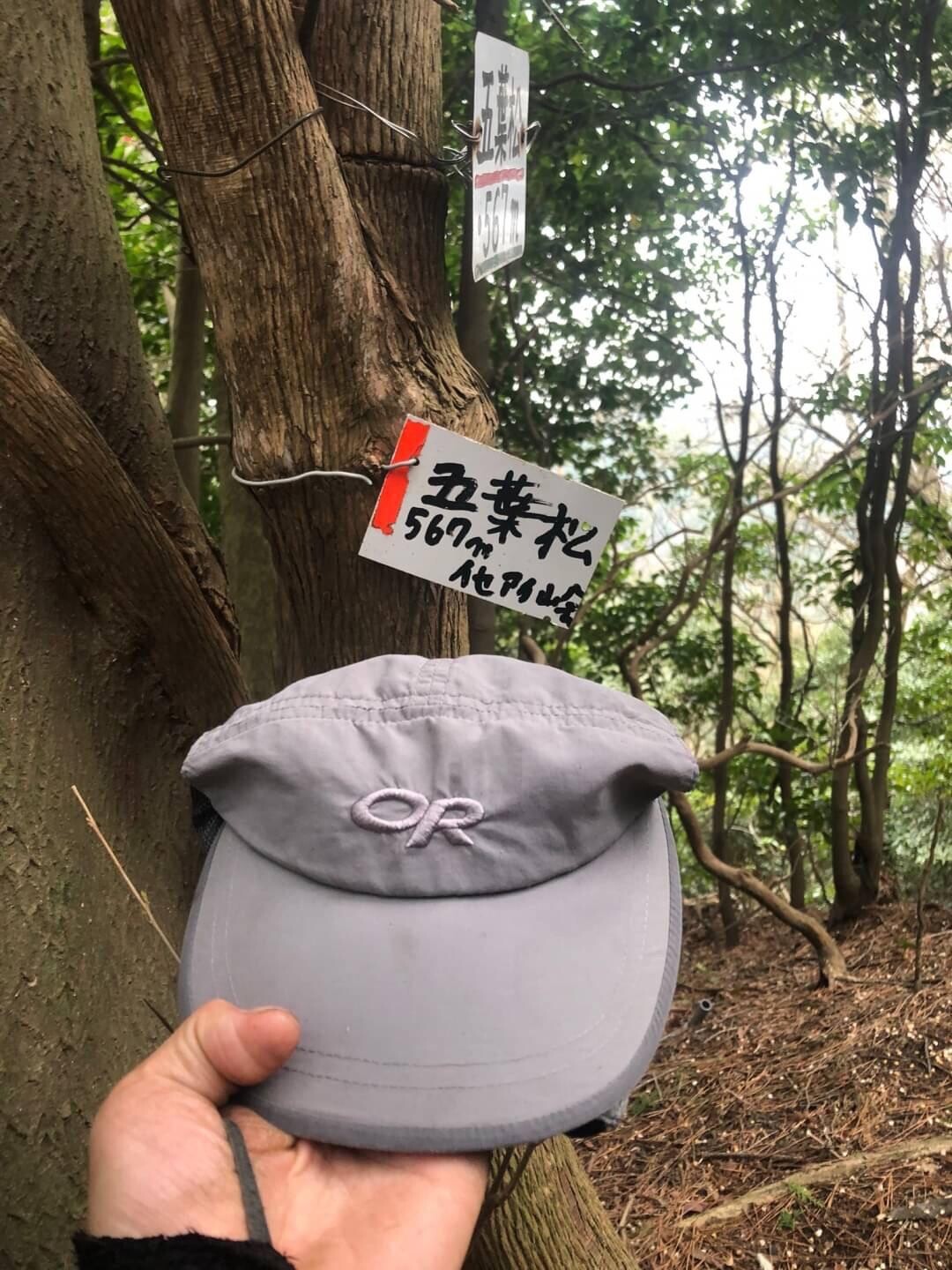 R6 4月6日 五葉松[鈴鹿] （大原... / オオイシさんのモーメント | YAMAP / ヤマップ