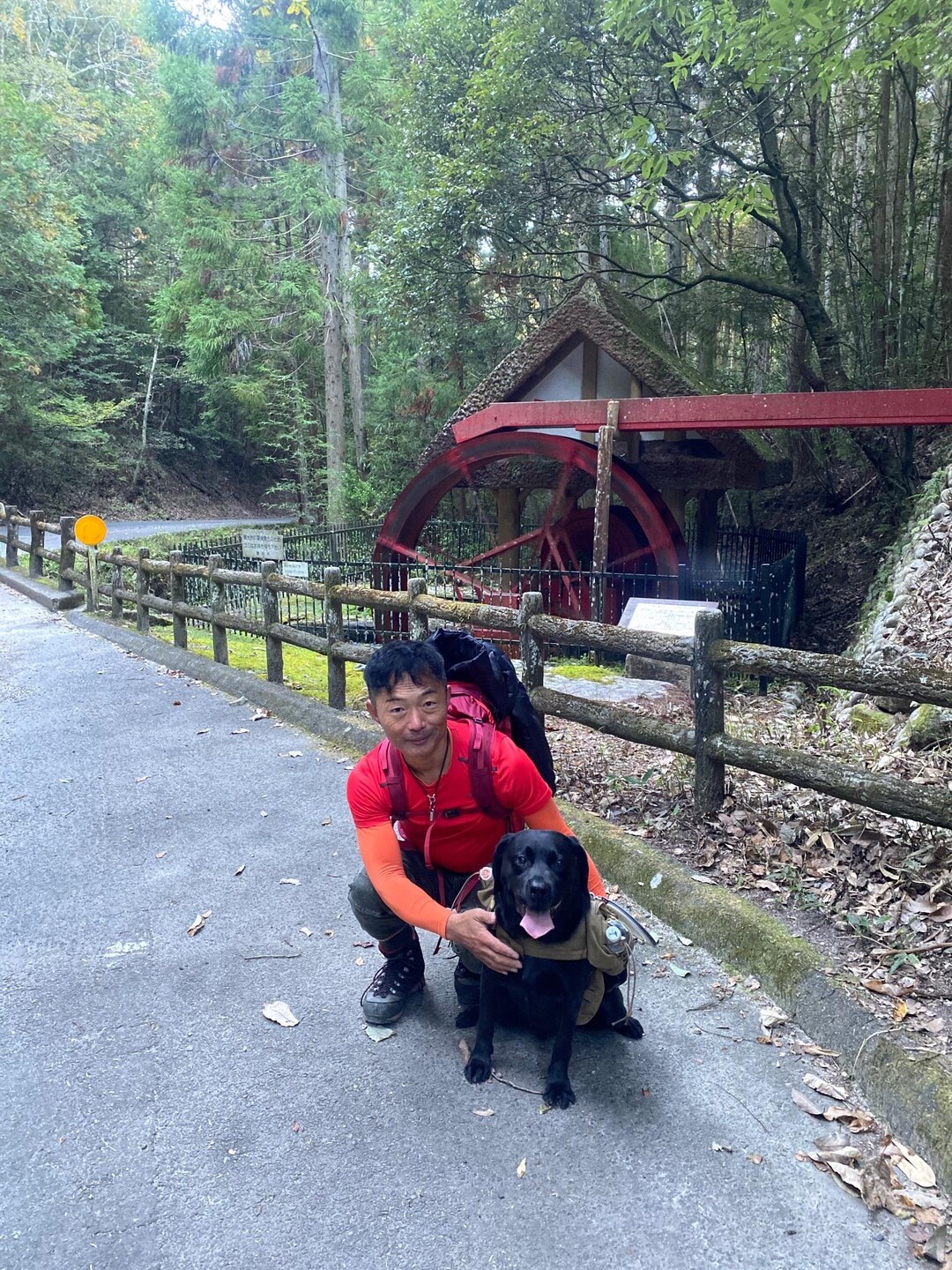 竜ヶ岳中止からの猿投山登山 / GENさんの猿投山・物見山の活動日記 | YAMAP / ヤマップ