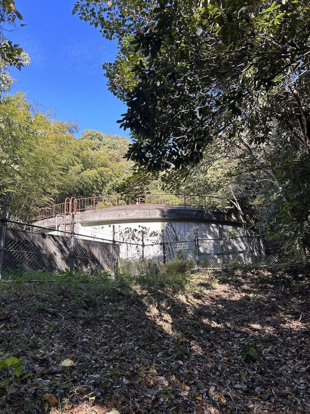 おかわり②吉野山 / t@ke-bowさんの六ヶ岳の活動データ | YAMAP / ヤマップ