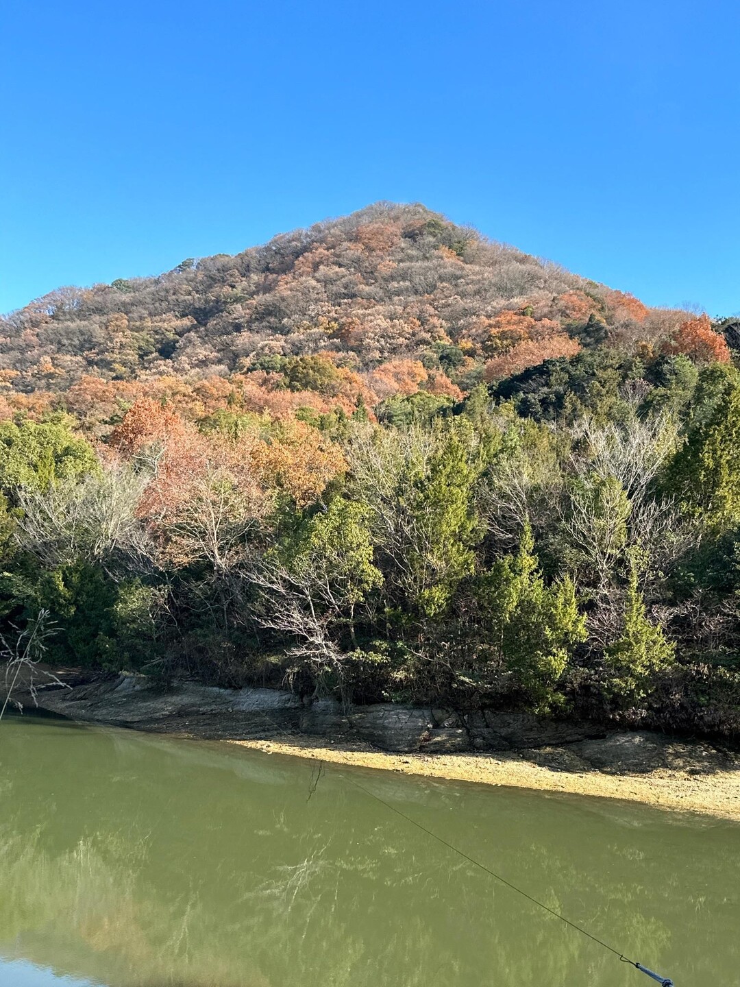 日妻山・馬山 / anytime with mochaさんの上佐山・日山・由良山の活動データ | YAMAP / ヤマップ