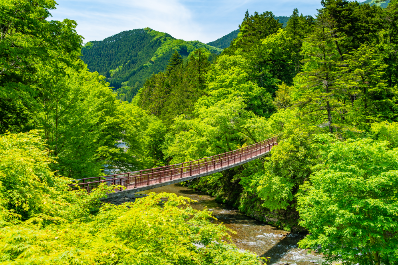 残り6名｜東京の大自然をゆく、... / YAMAP TRAVELさんのモーメント | YAMAP / ヤマップ