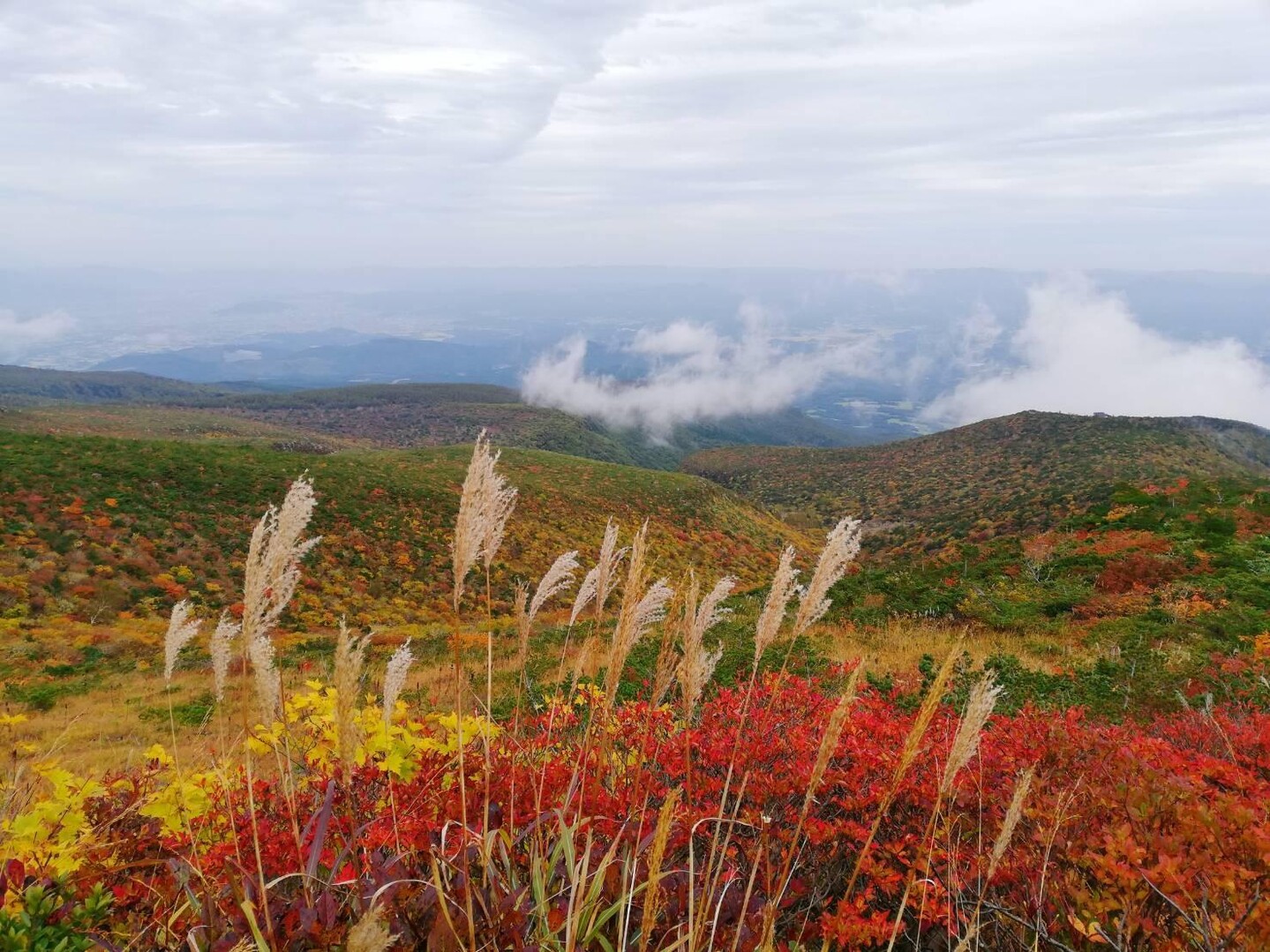 🌸Mt.Adatarayama⚡️ / 🌸Springthunders⚡さんの安達太良山・箕輪山・鬼面山の活動データ | YAMAP / ヤマップ