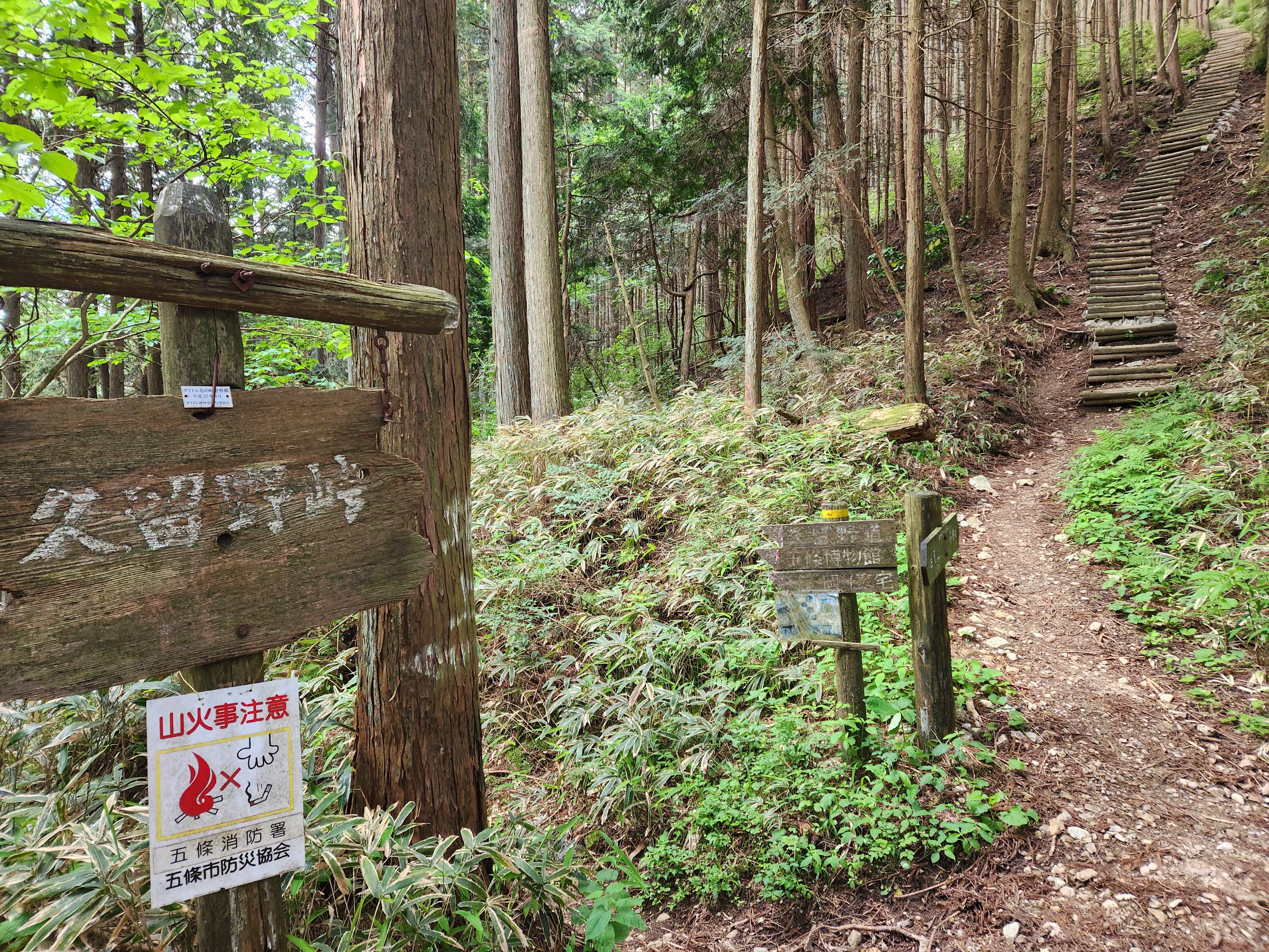 久留野峠～紀見峠 / COCOさんの金剛山・二上山・大和葛城山の活動データ | YAMAP / ヤマップ