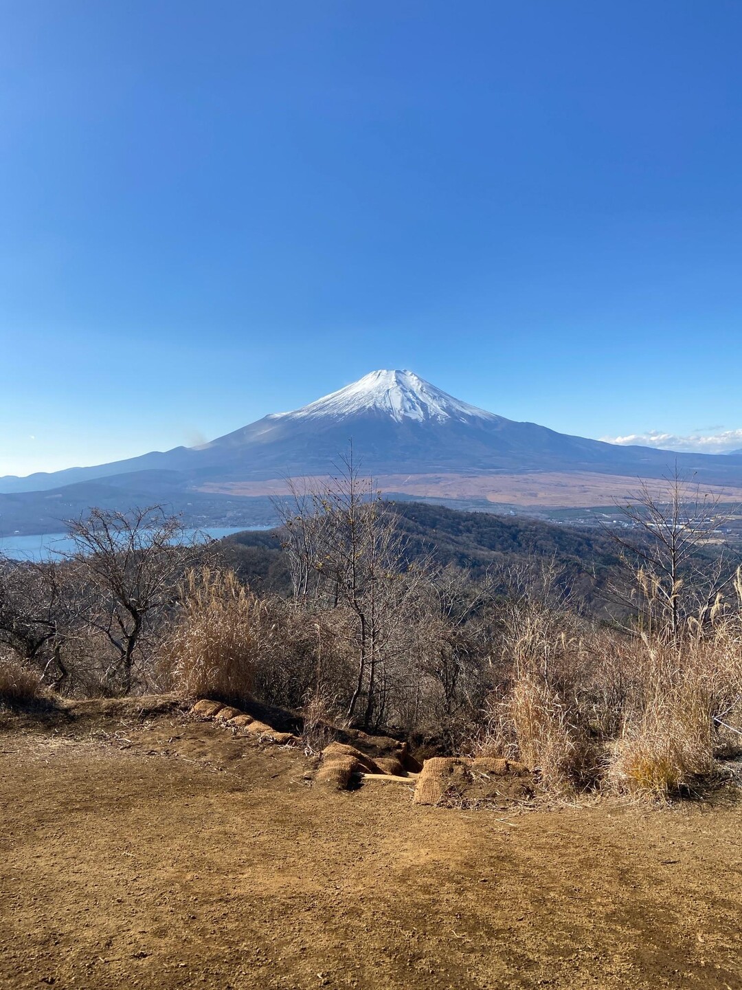 石割山・一ノ砂ノ沢ノ頭・平尾山 / goqooさんの御正体山・杓子山・石割山の活動データ | YAMAP / ヤマップ