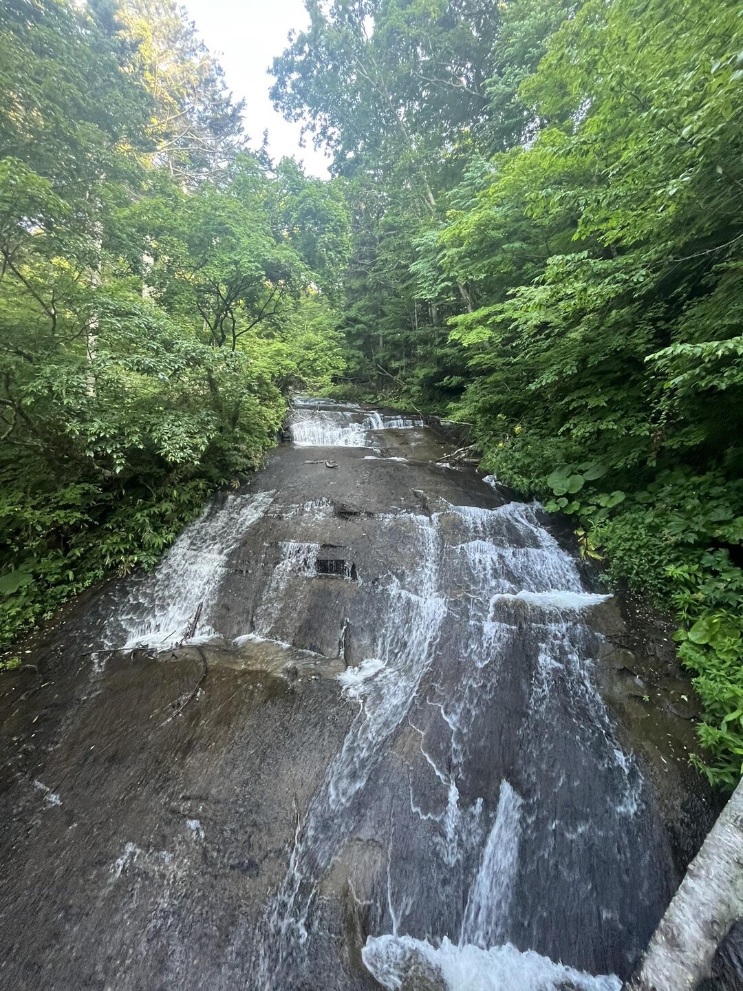 起床後に、 恵庭市で通ったことがない道を... / sasaさんのモーメント | YAMAP / ヤマップ