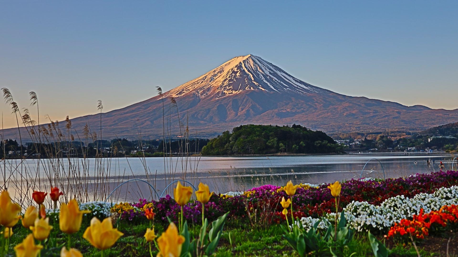河口湖の夜も朝もまだ肌寒かった… Mt.... / ゆっこさんのモーメント | YAMAP / ヤマップ