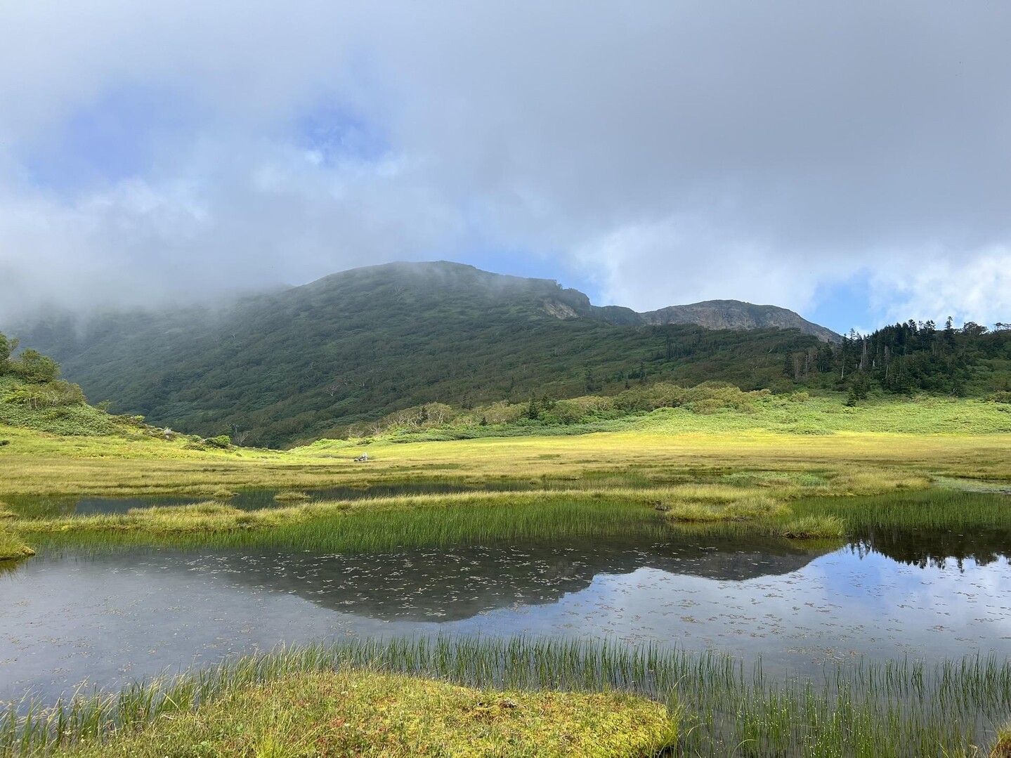 火打山ᨒ𖡼.𖤣𖥧 / cocoさんの妙高山・火打山の活動データ | YAMAP / ヤマップ