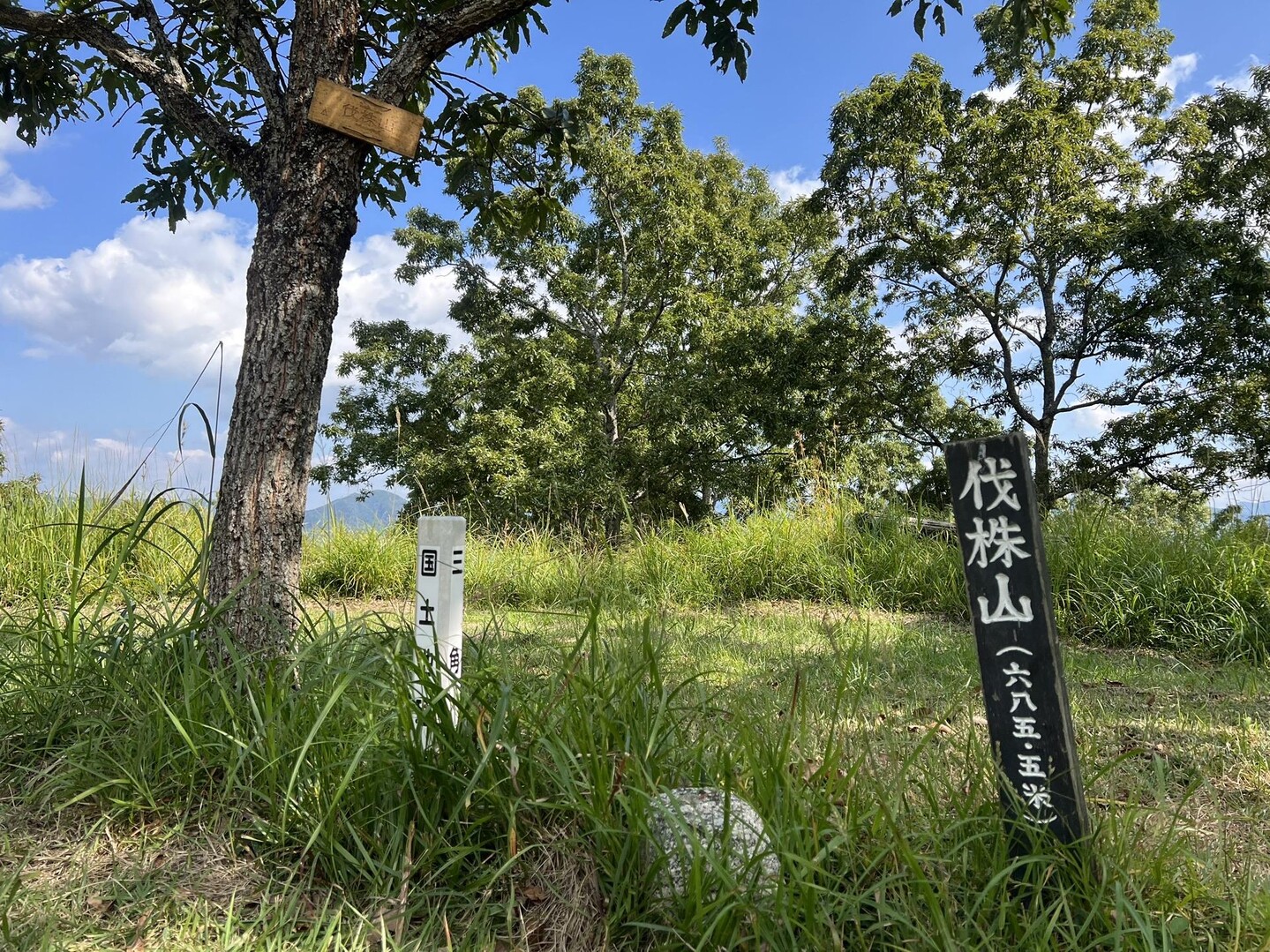 伐株山 / motoyaさんの万年山・伐株山の活動データ | YAMAP / ヤマップ
