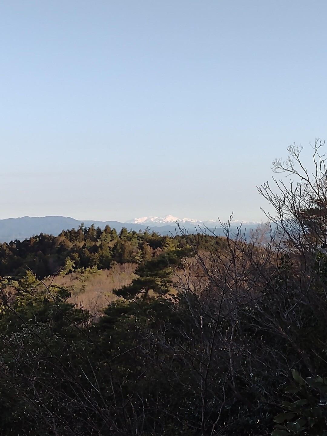 久々のホーム⛰️‼️道樹山・大谷山・弥勒山 / sin-yaさんの春日井三山・弥勒山・大谷山・道樹山の活動データ | YAMAP / ヤマップ